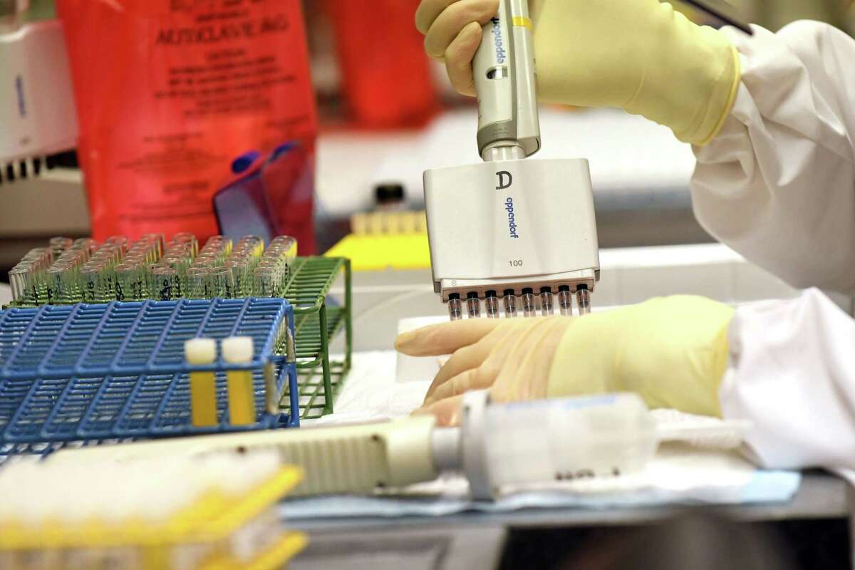 New Wadsworth a tale of both need, promise