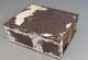 106-year-old Antarctic fruitcake found, might be edible