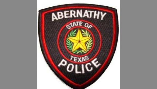 Abernathy police chief dismissed