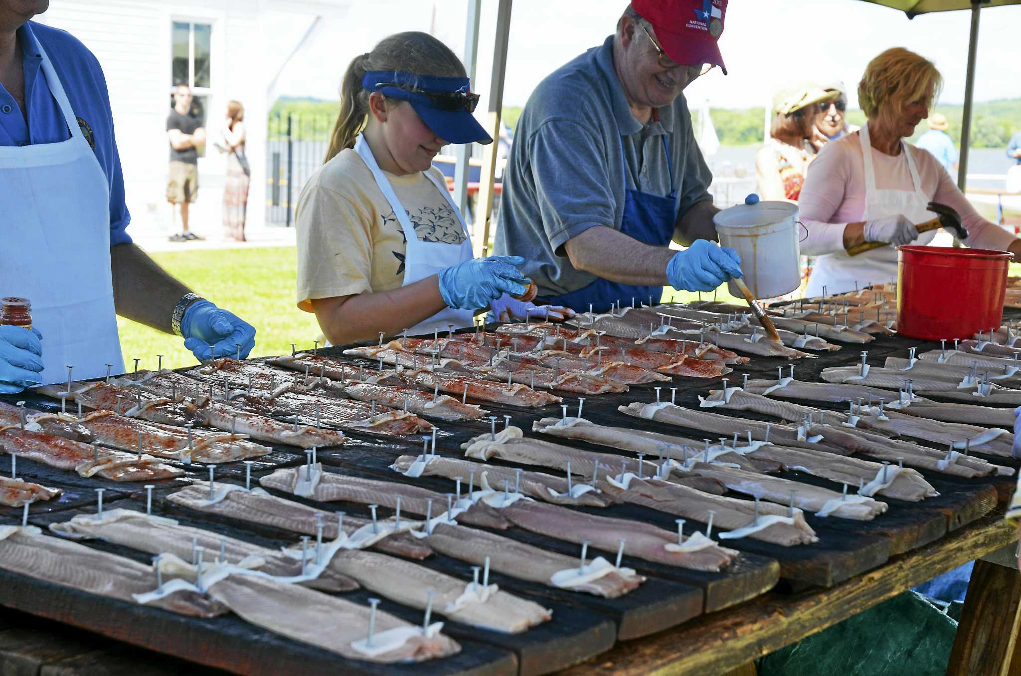 Shad bake is a New England tradition in Essex