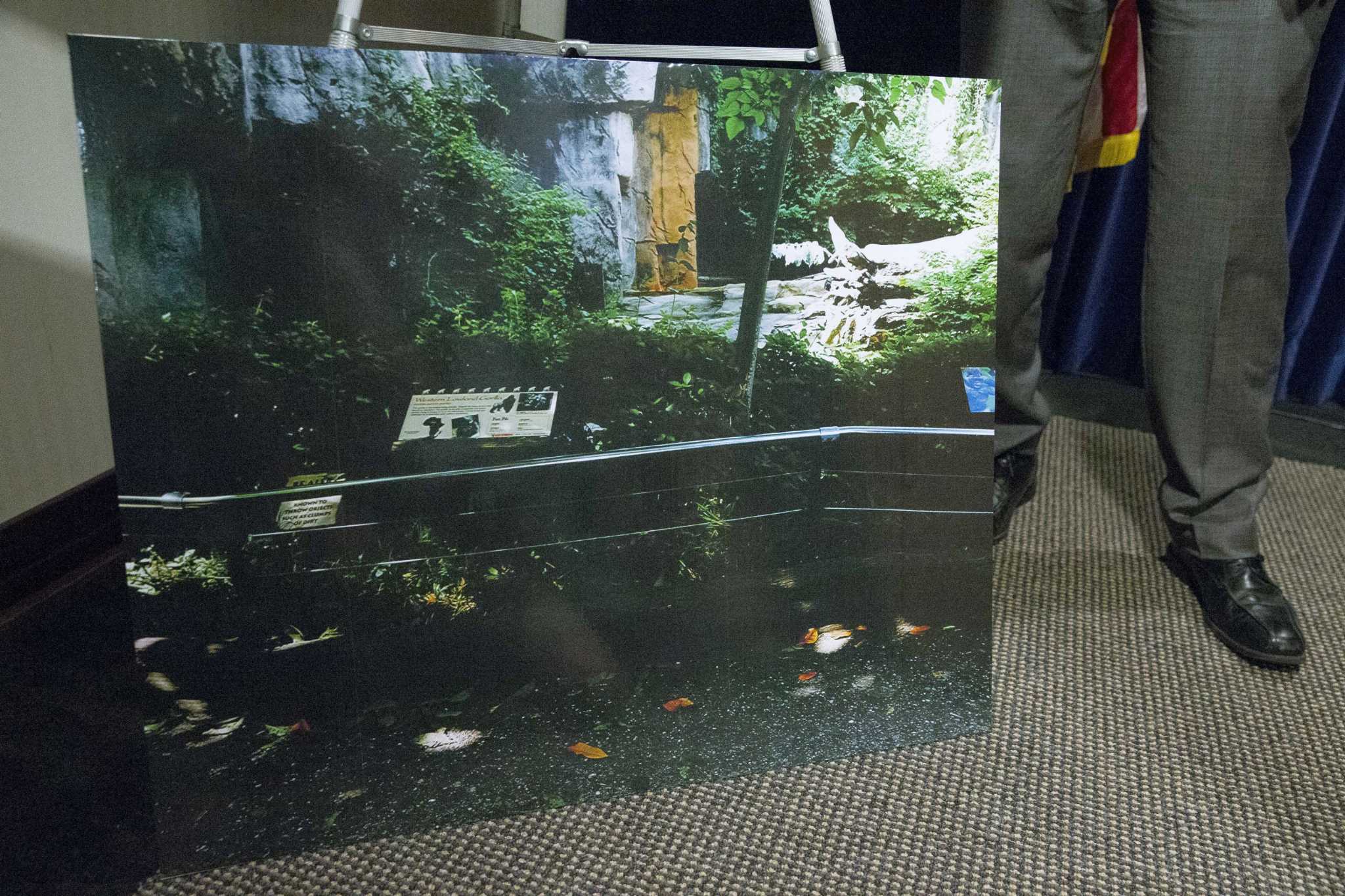 Cincinnati Zoo’s gorills exhibit reopens with high, reinforced barrier