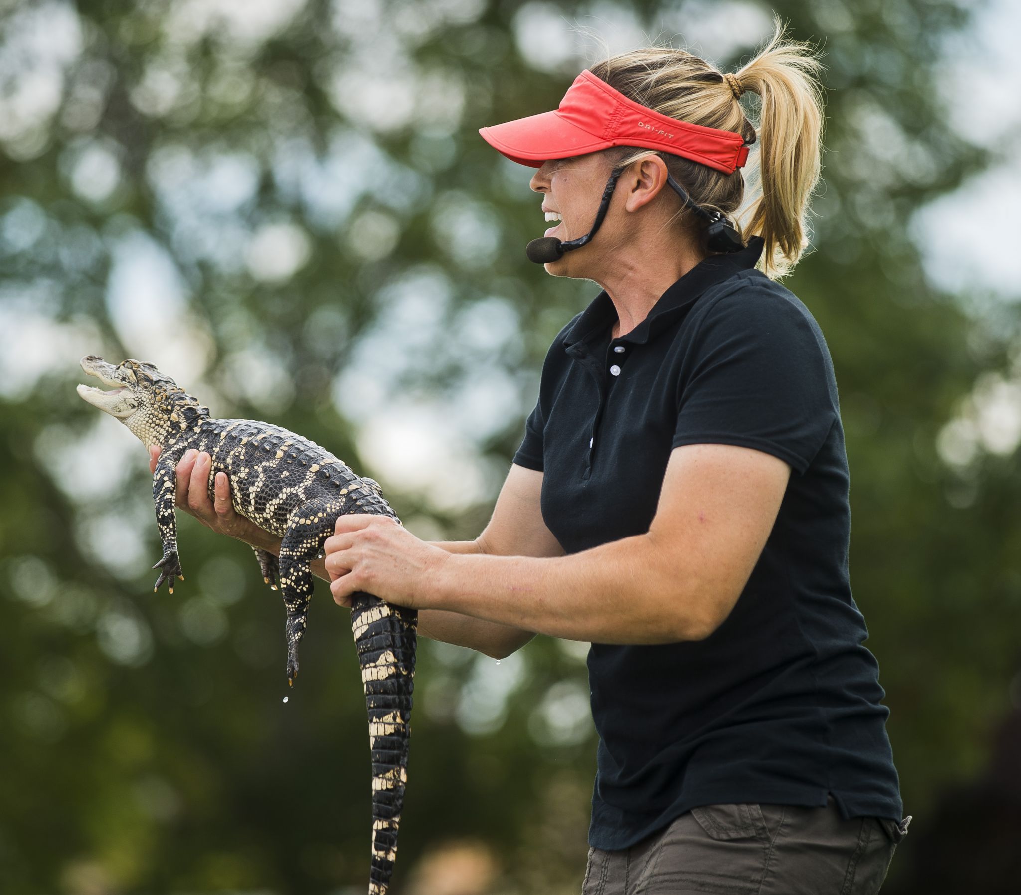 Wild World of Animals show during County Fair