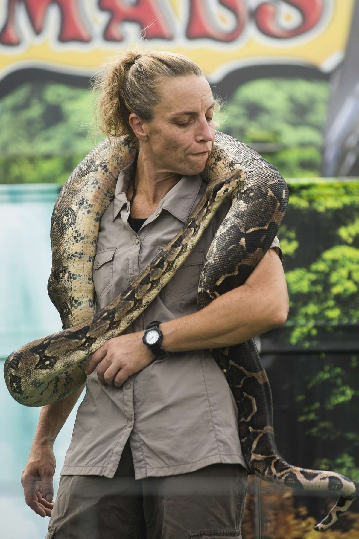 Wild World of Animals show during County Fair