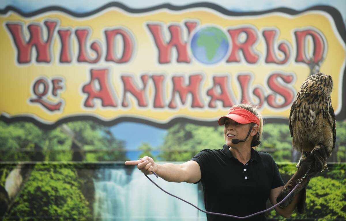 Things get wild at fair with animal show