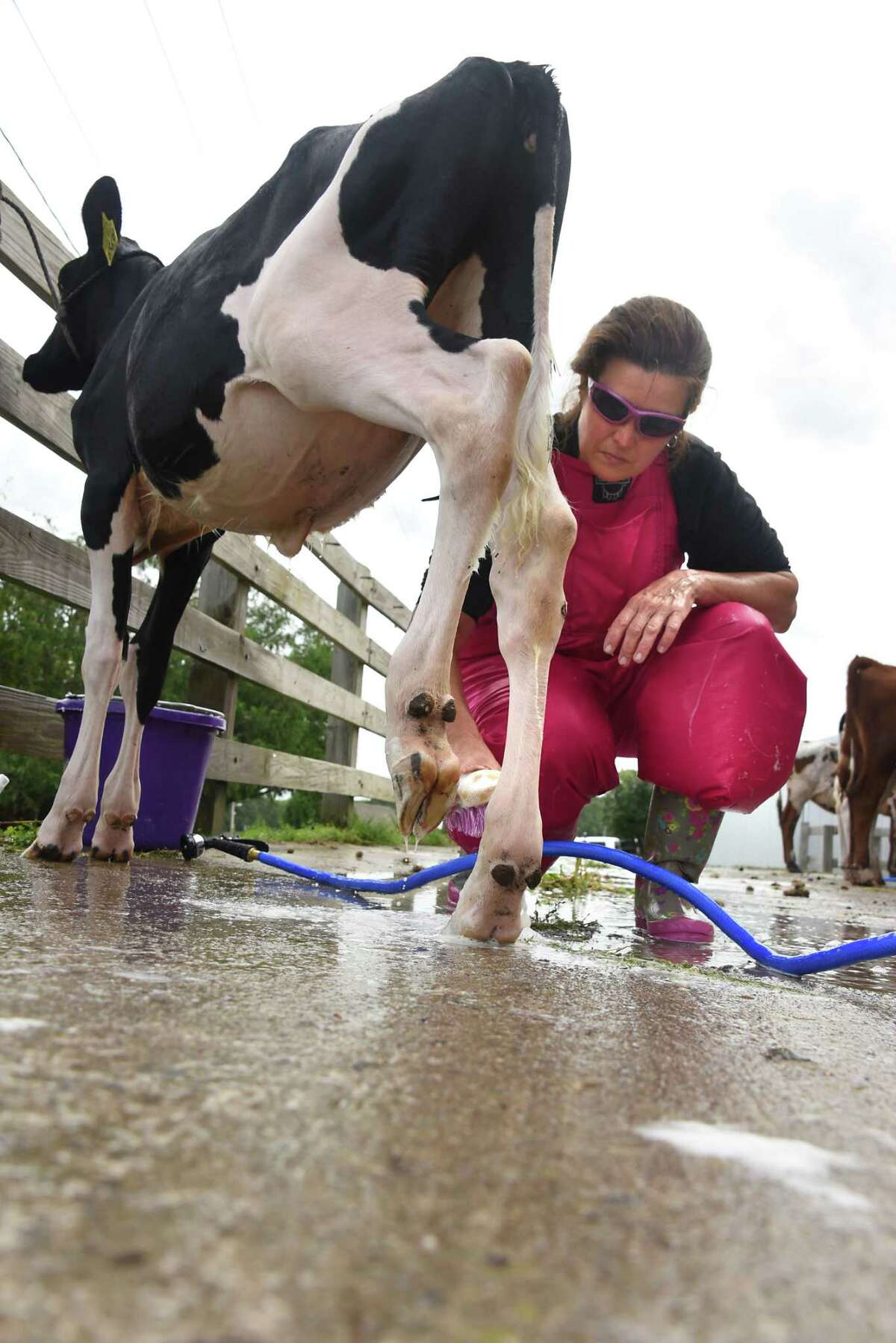 Photos: Altamont Fair opens Tuesday