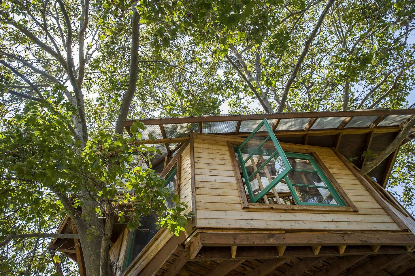 A treehouse of one’s own