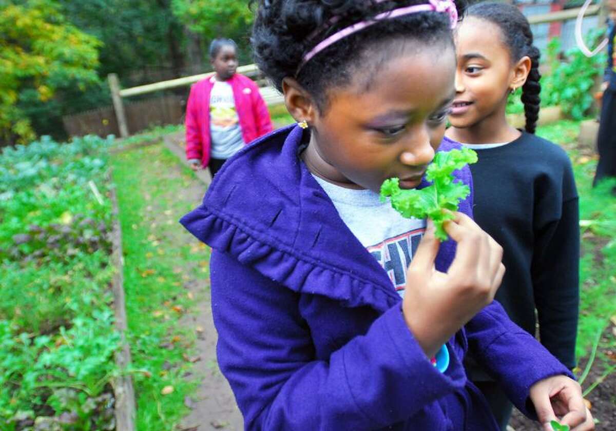 New Haven's Common Ground High School honored for green efforts