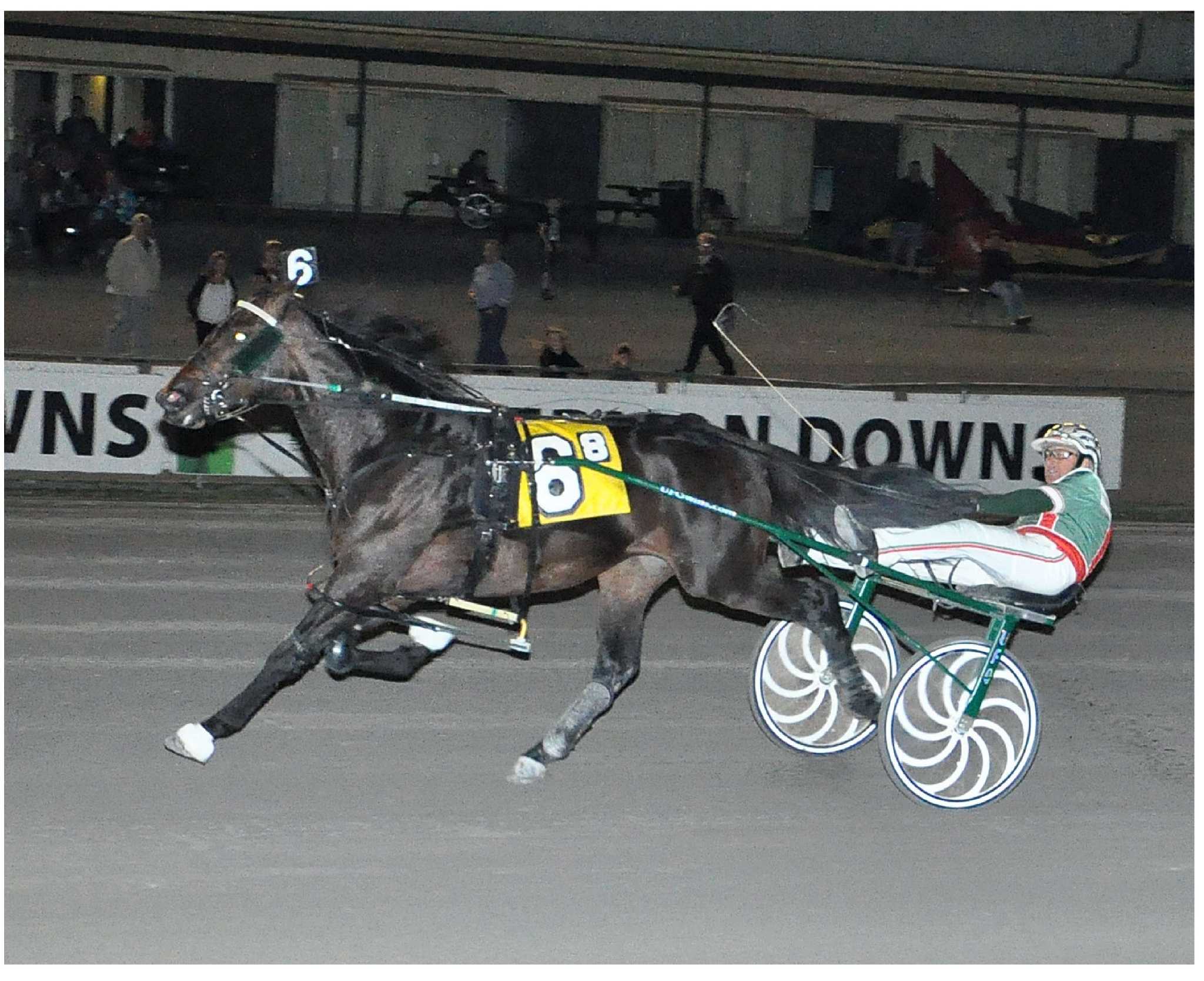 Coraggioso sets track record at Vernon Downs