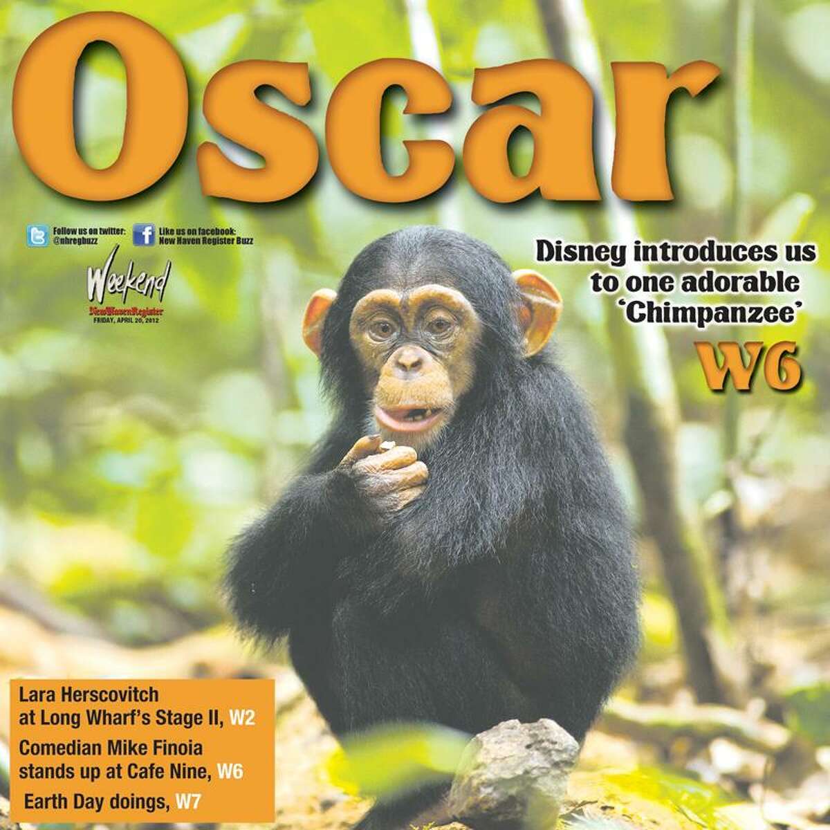 MOVIE REVIEW: 'Chimpanzee' shows Disneynature at its best in this rain ...