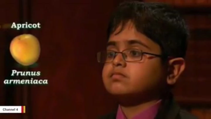 IQ scores are declining. Scientists believe they know why.