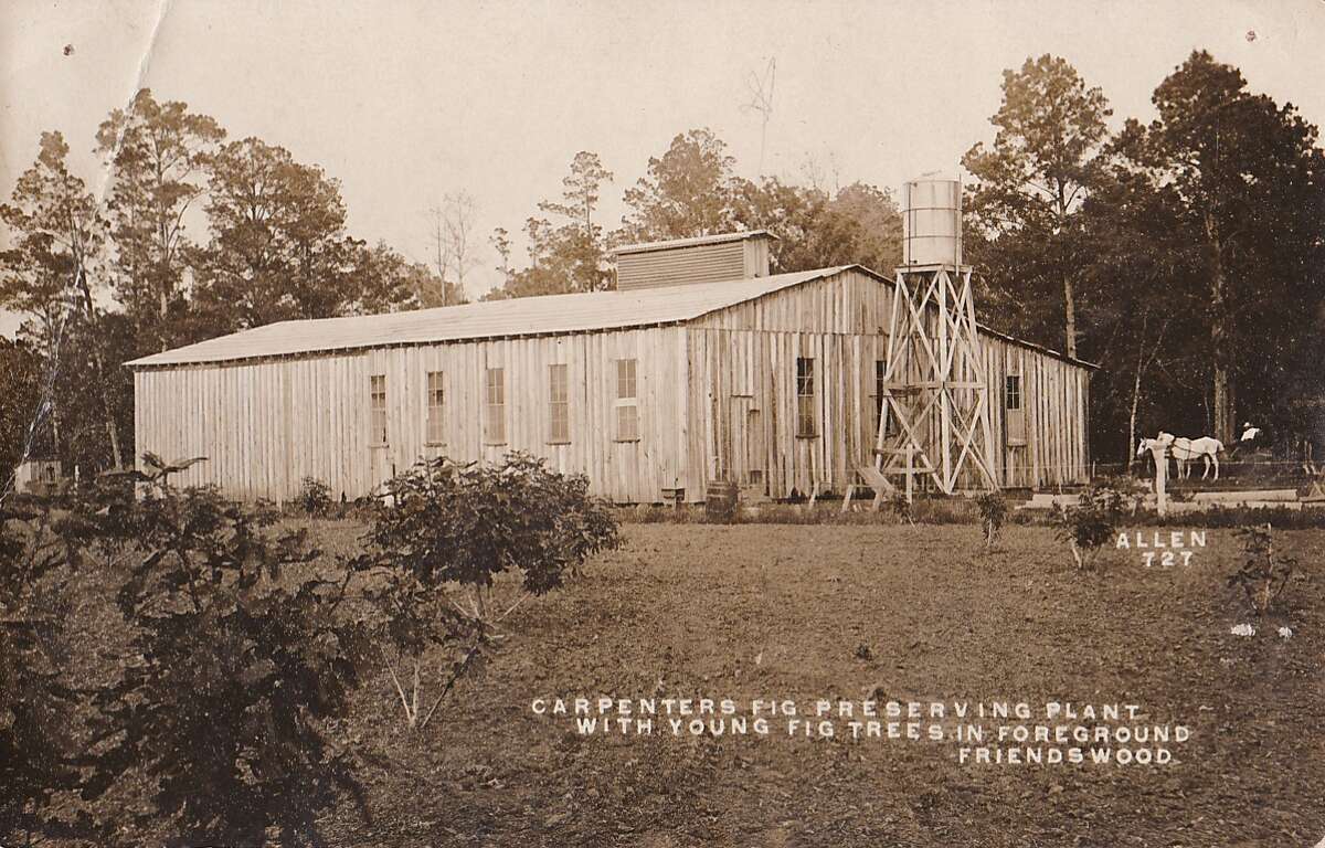 Check out historic photos from Friendswood's earliest days