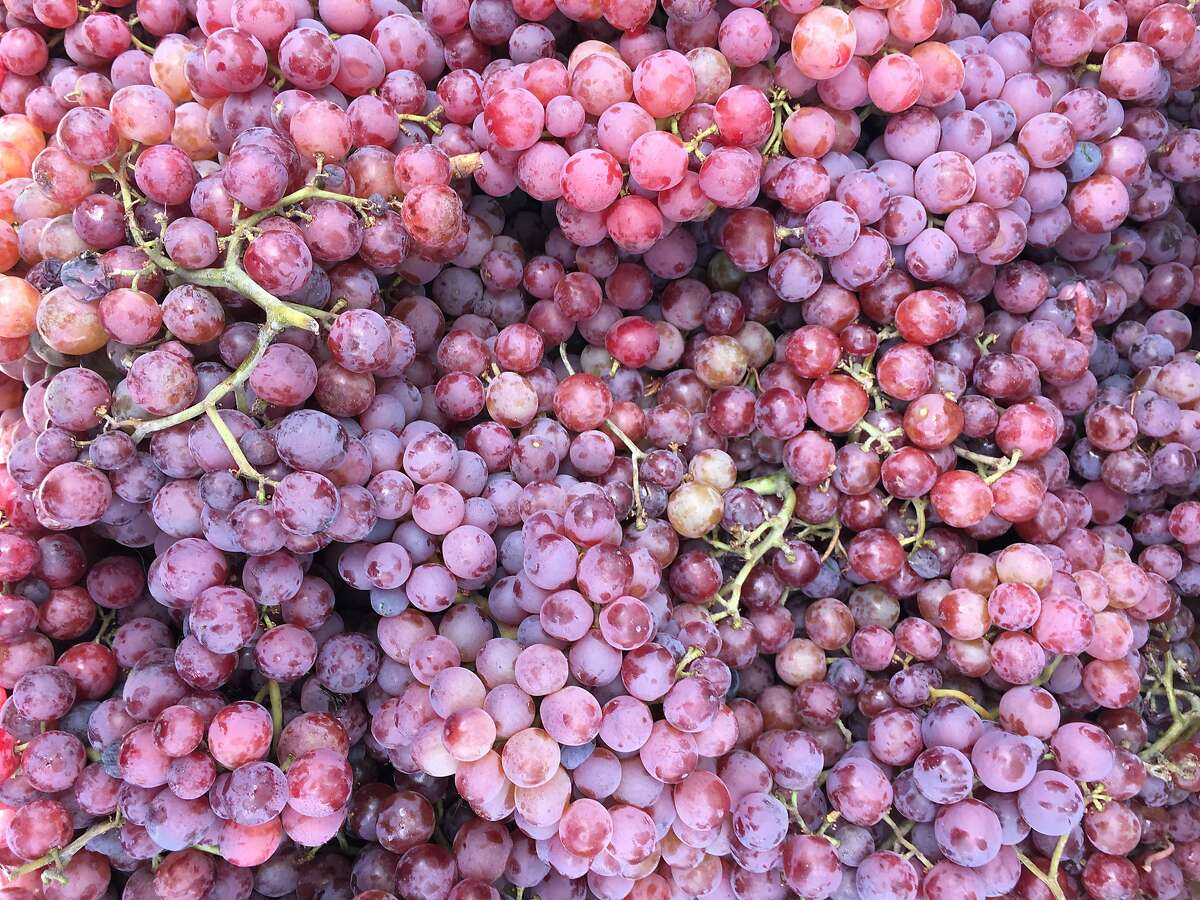 Late-season crops extend joys of summertime