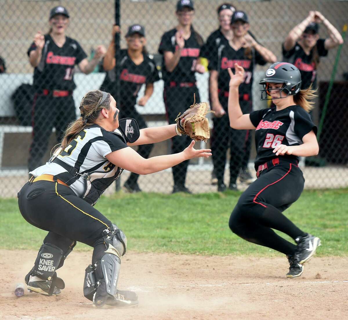 Photos of Amity vs. Cheshire Softball
