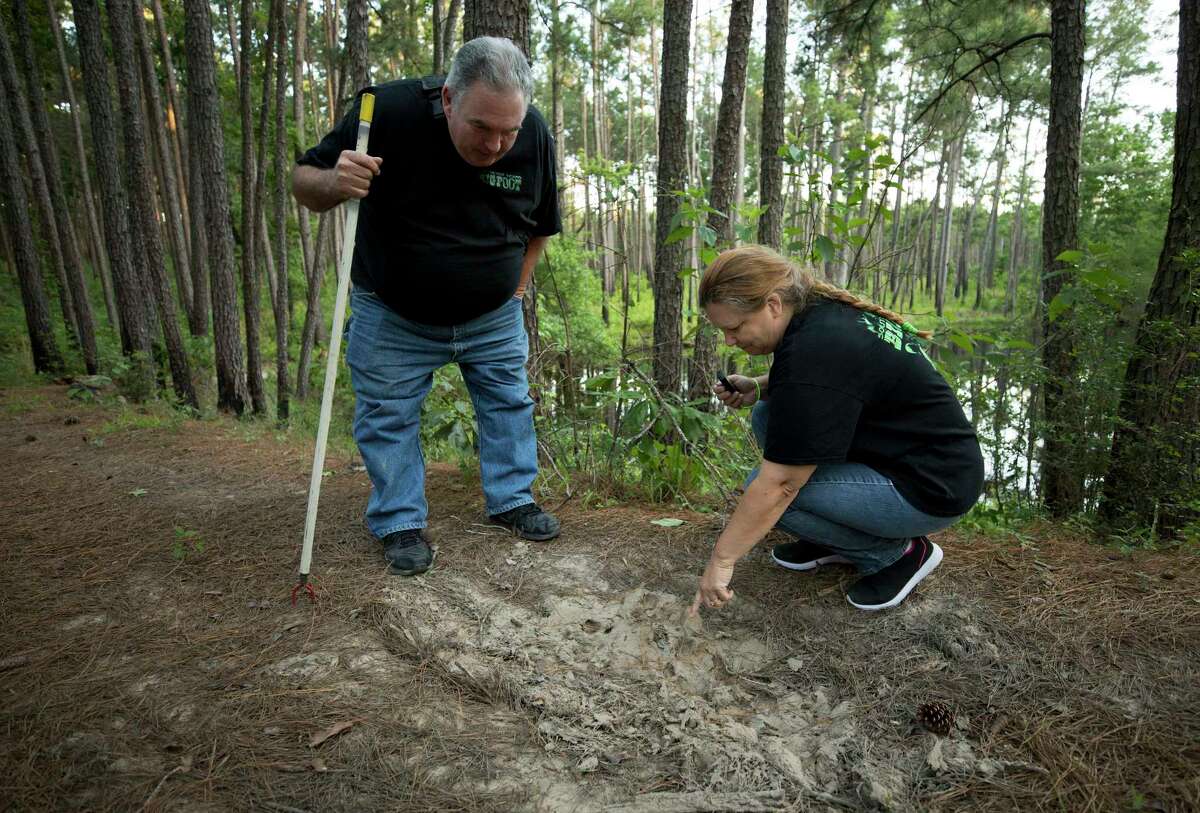 For Bigfoot hunters, 'nightlife' takes on new meaning