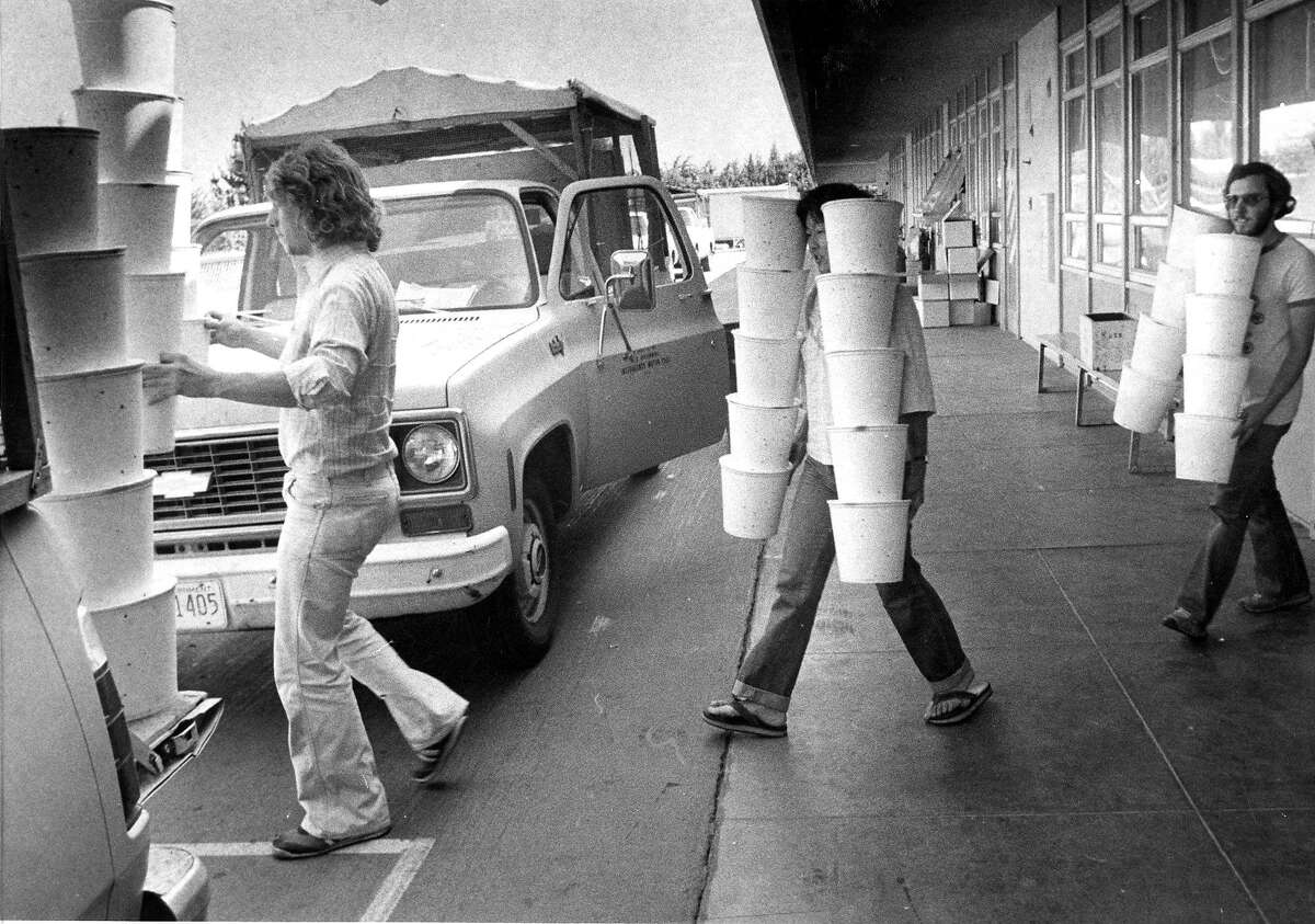 The medfly invasion: How a tiny insect upended Bay Area life decades ago