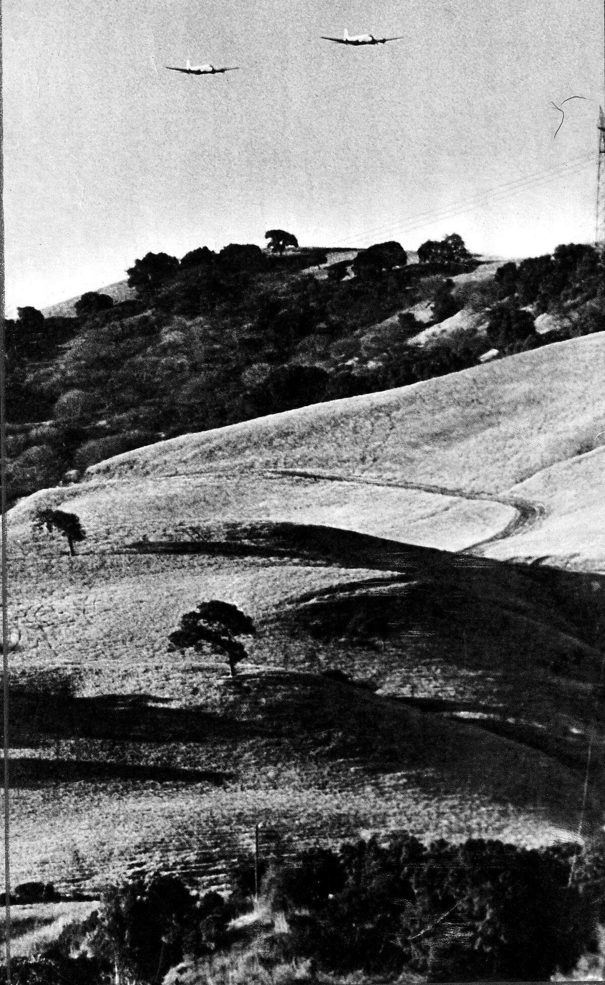 The medfly invasion: How a tiny insect upended Bay Area life decades ago