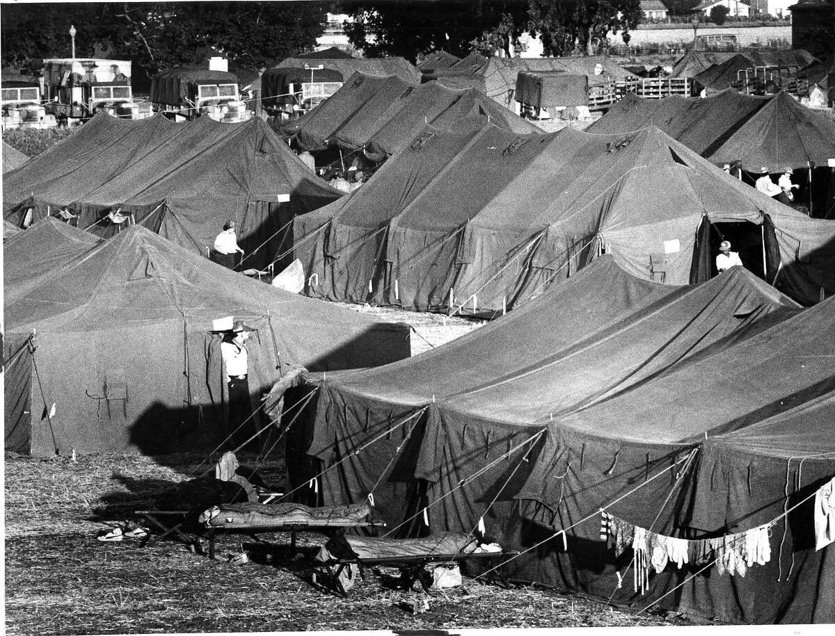 The medfly invasion: How a tiny insect upended Bay Area life decades ago