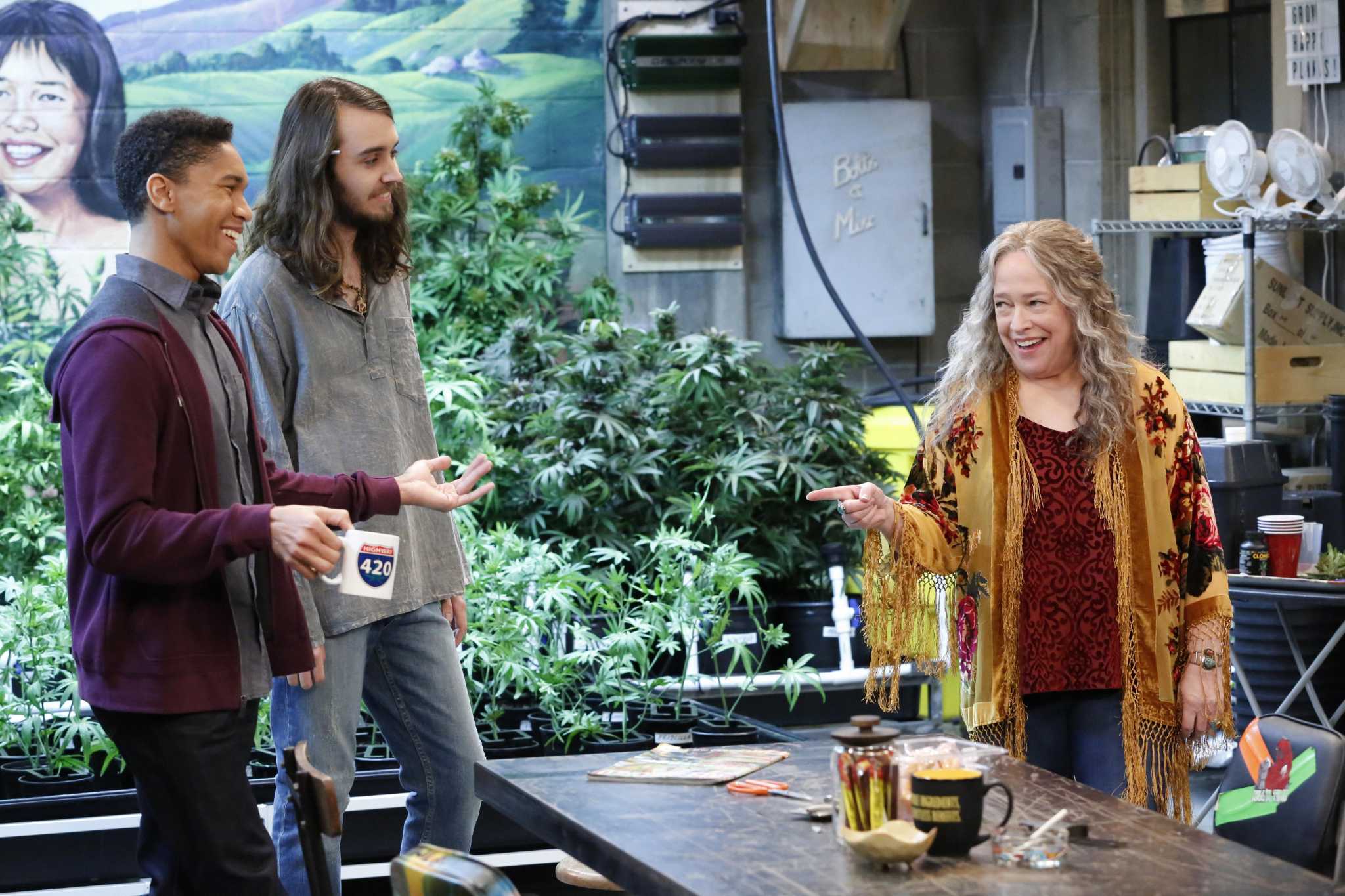 Wander into the weed with pot comedy ‘Disjointed’