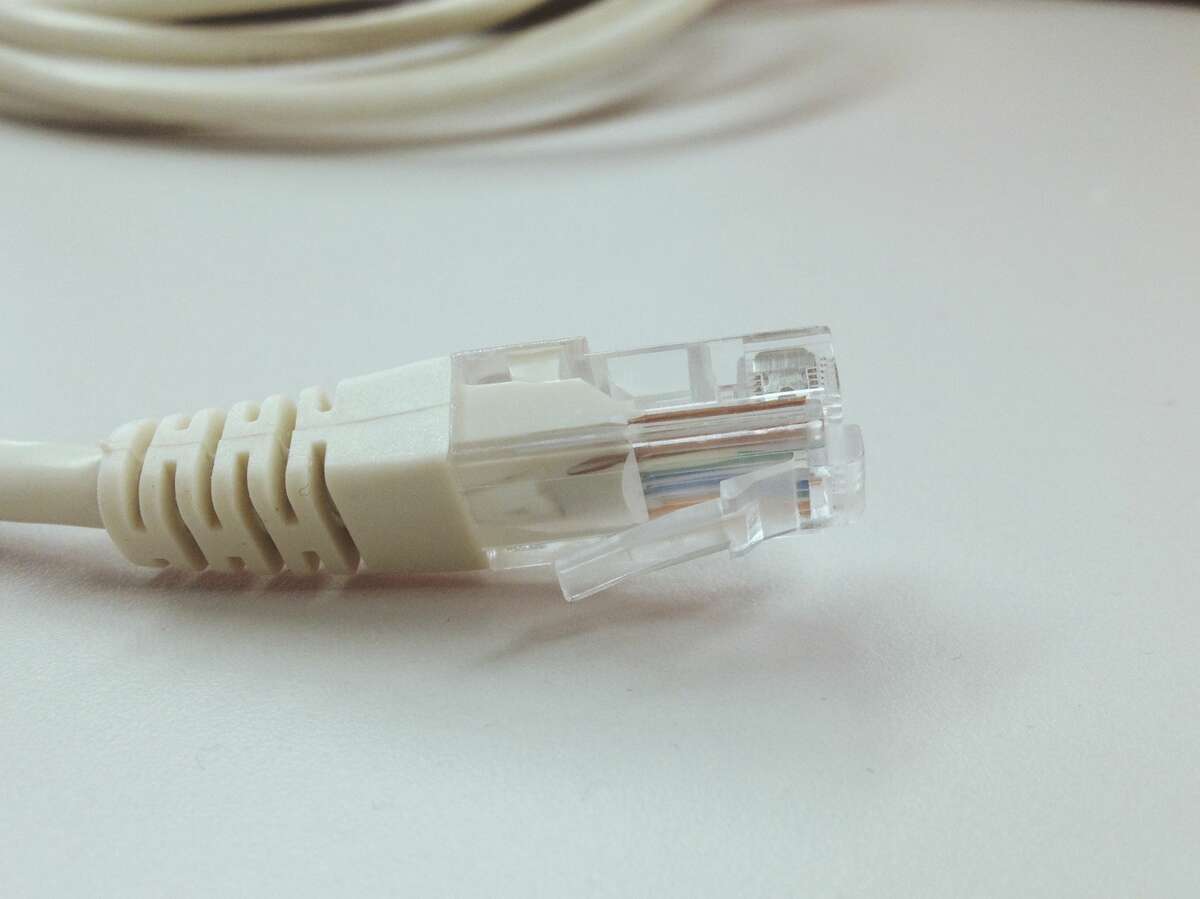 Words that first appeared in print the year you were born