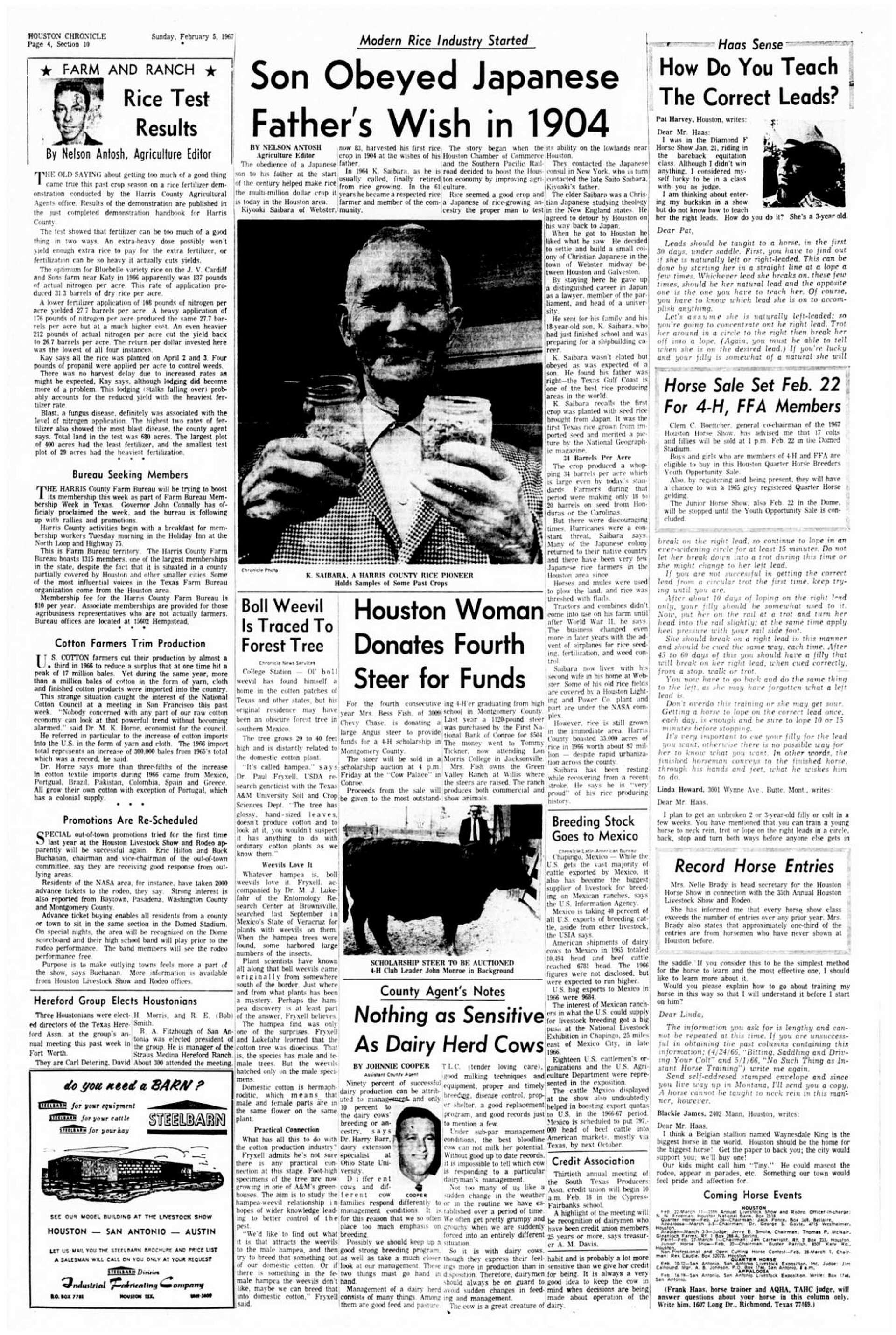 Webster Is Cradle of Rice Farms Yielding $65 Million Annually