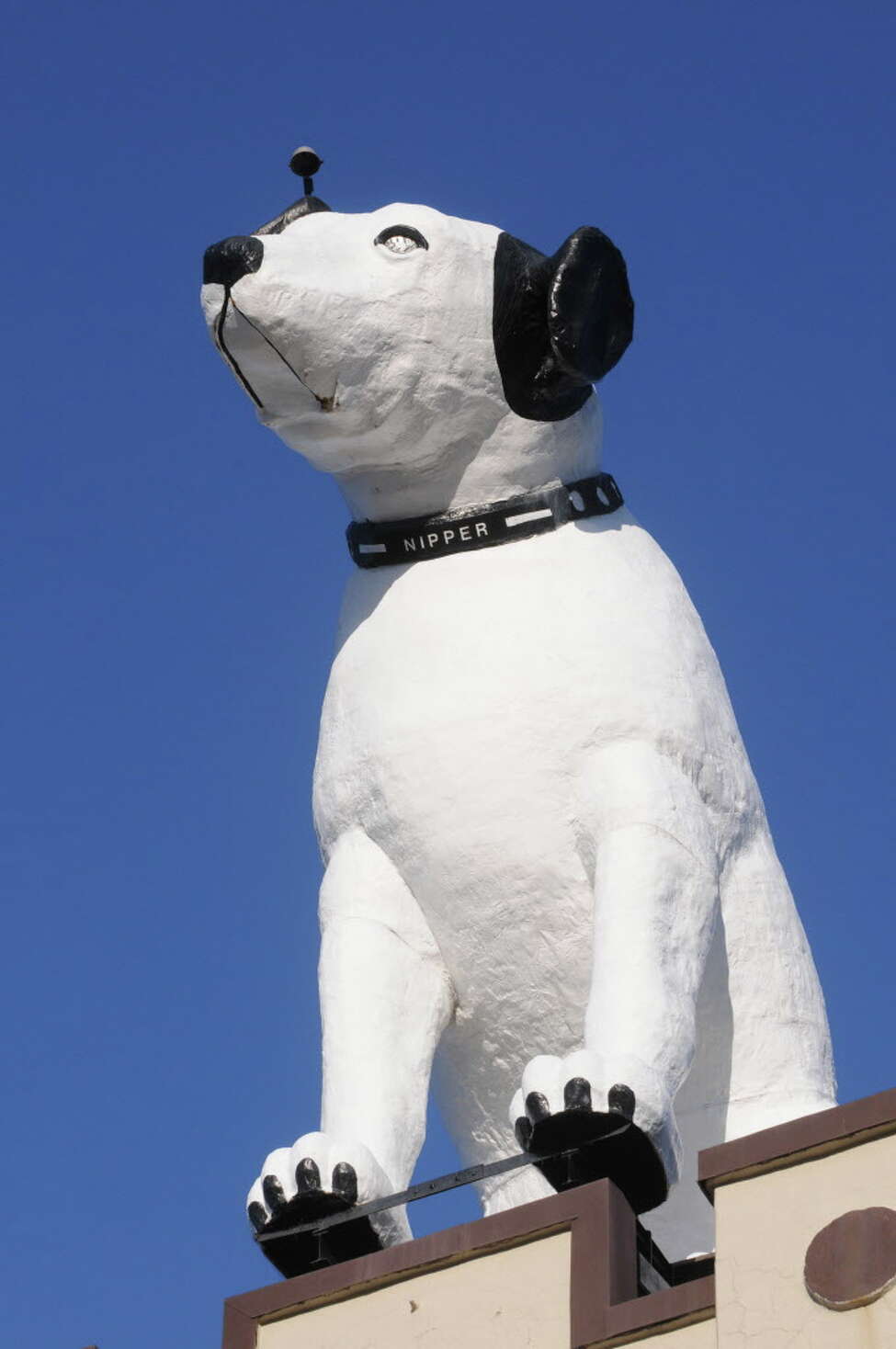 Churchill: If Robert E. Lee goes, won't Nipper be next?