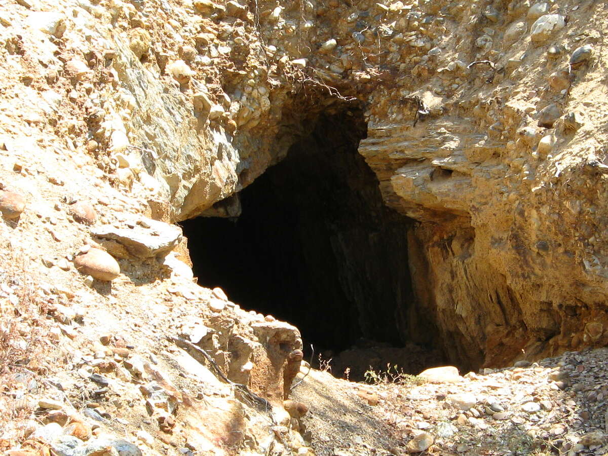 Bay Area native trades Silicon Valley lifestyle for gold mining