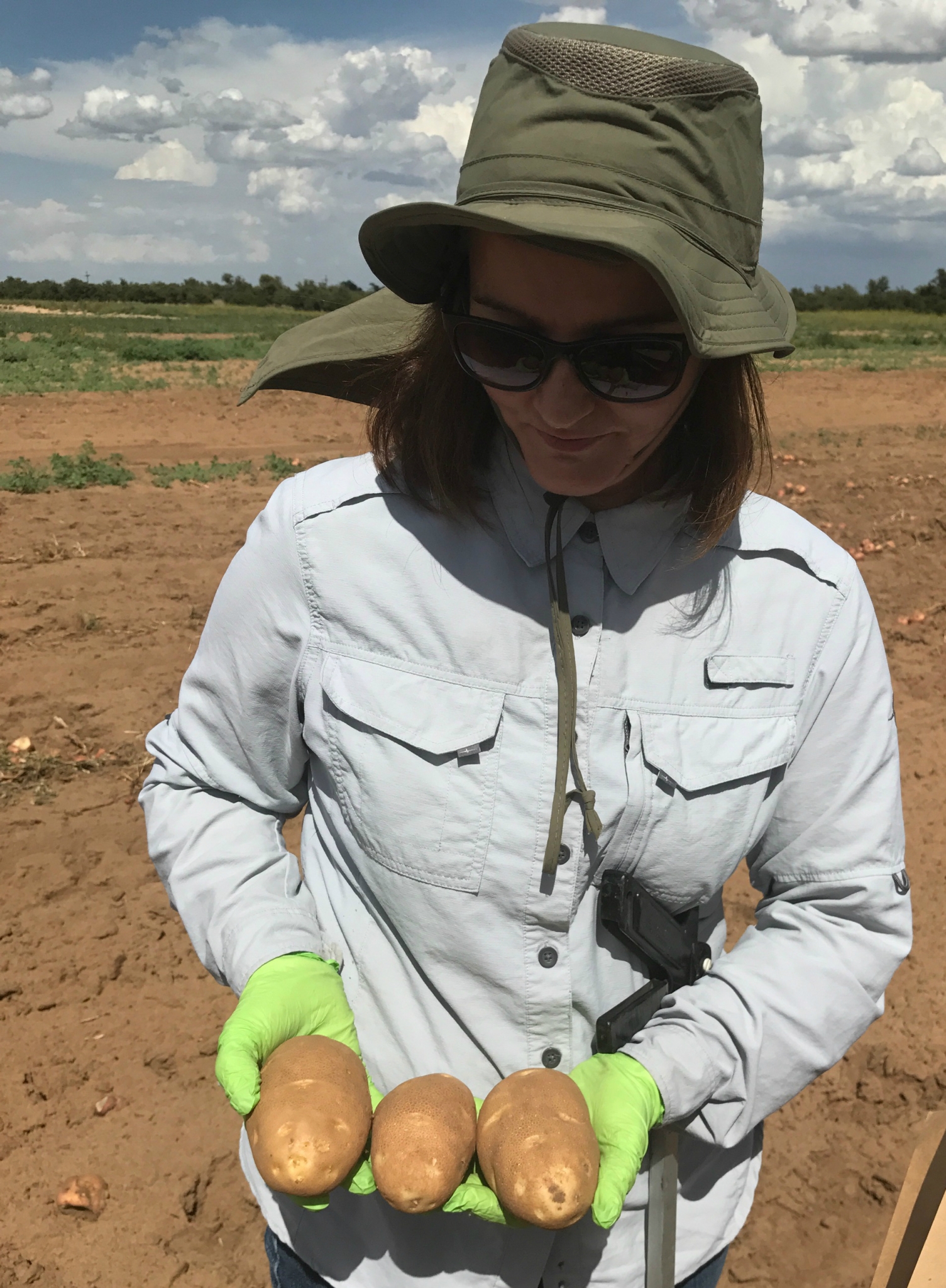 Texas Potato researcher plans to pack more value into crop