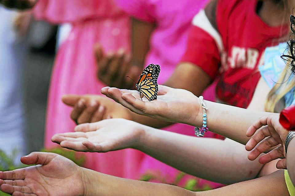 Bethlehem: Bellamy-Ferriday House & Garden to host outdoor activities ...
