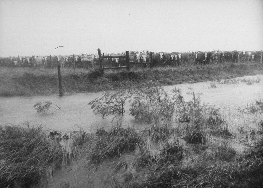 Mighty Hurricane Carla battered the Texas Gulf Coast in 1961 - Houston ...