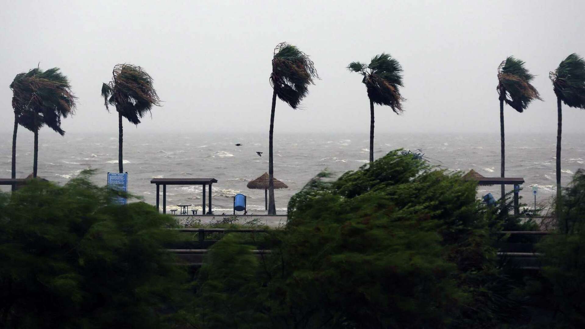 Tropical cyclone threat spikes as storm system eyes South Texas