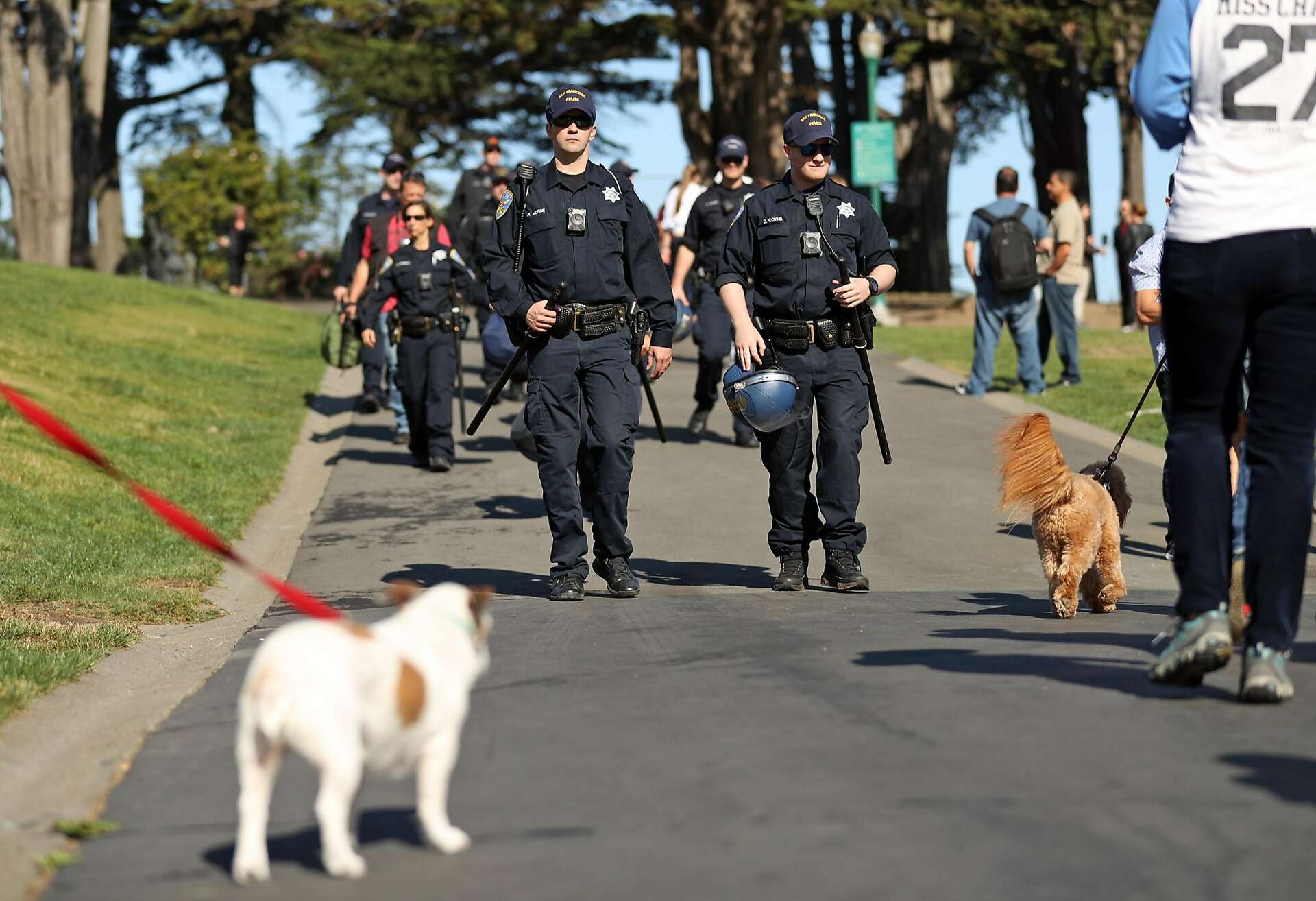 Your best day ever in San Francisco with your dog