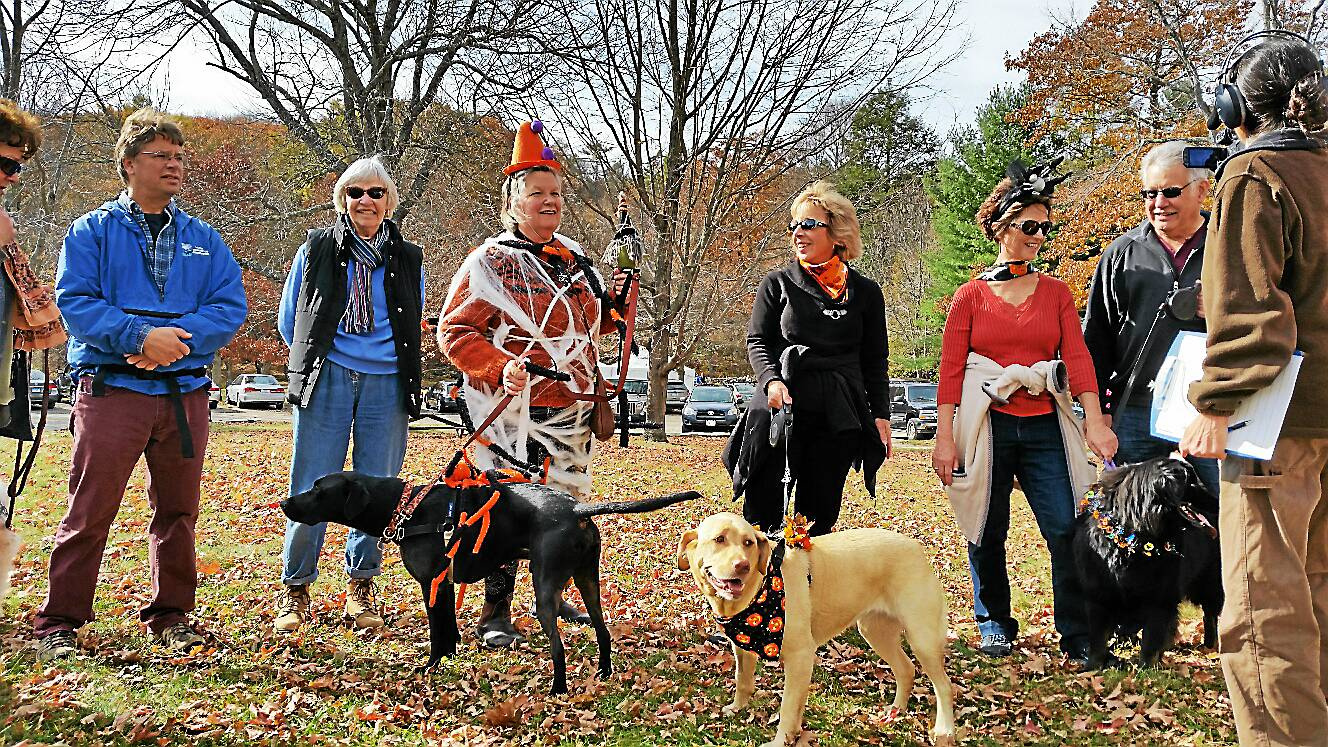 Spooky tales spice up first-ever Spooky Walk in Litchfield