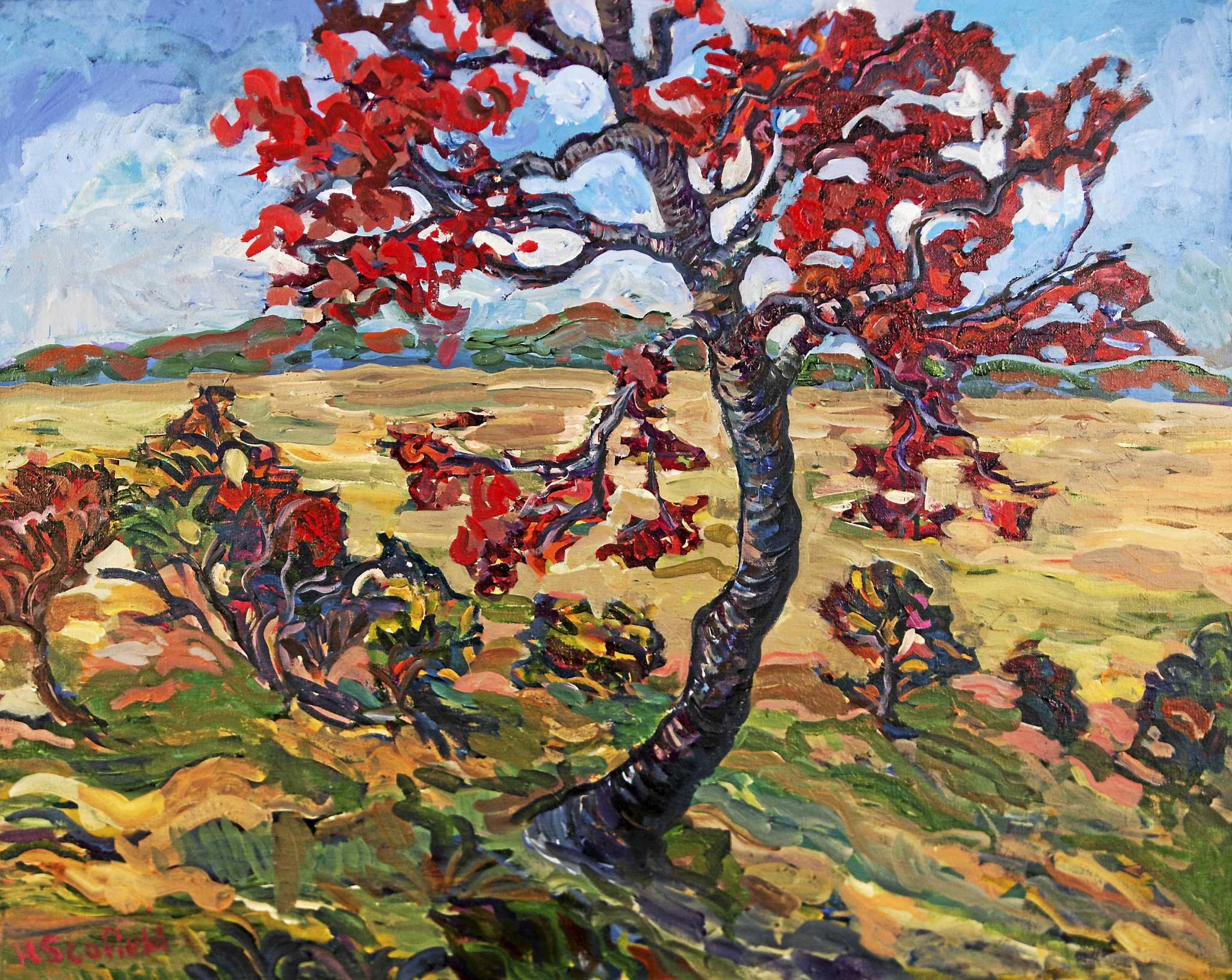 Kent artist shows paintings at library; reception Nov. 28