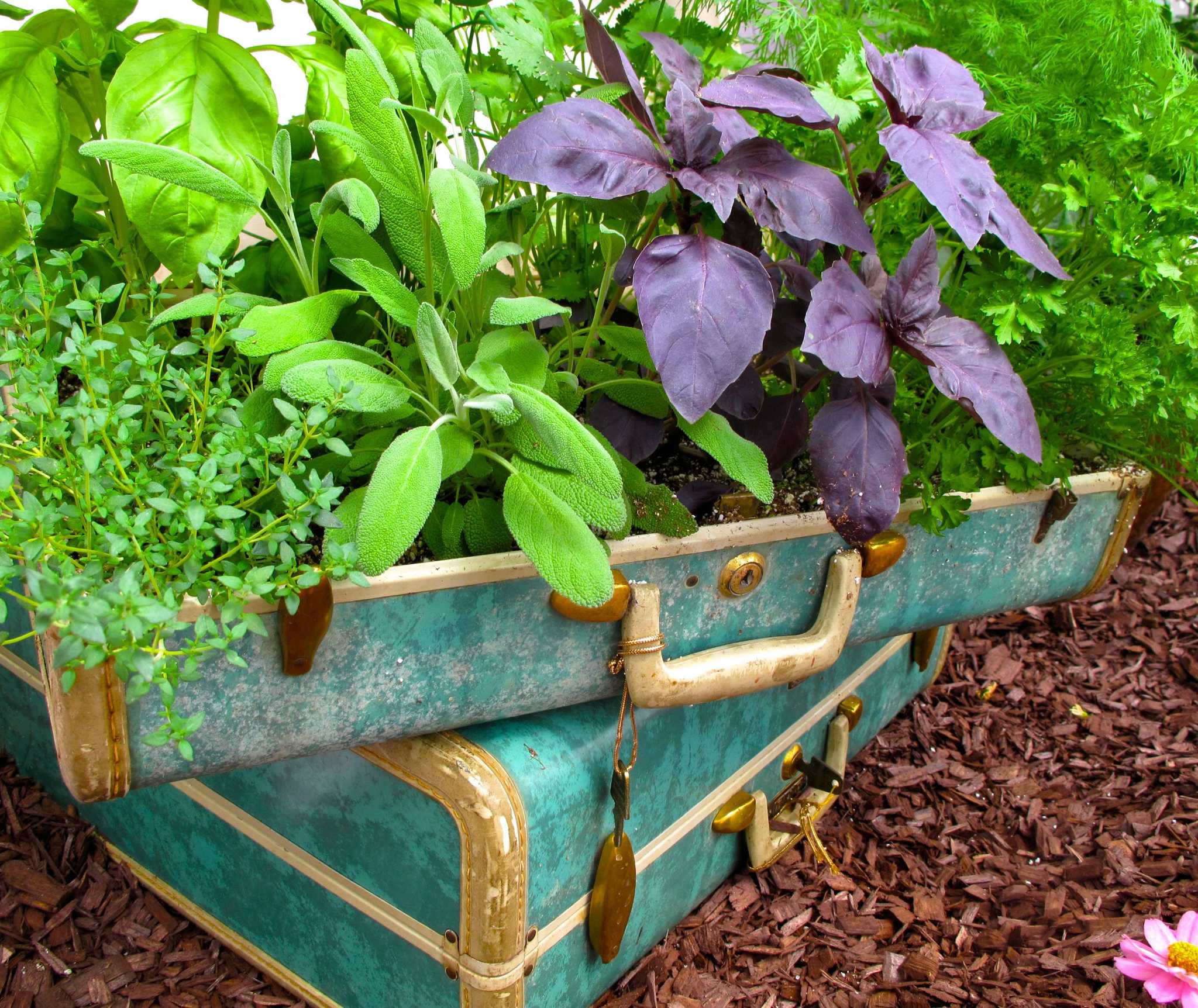 Portable planters let your garden move with you