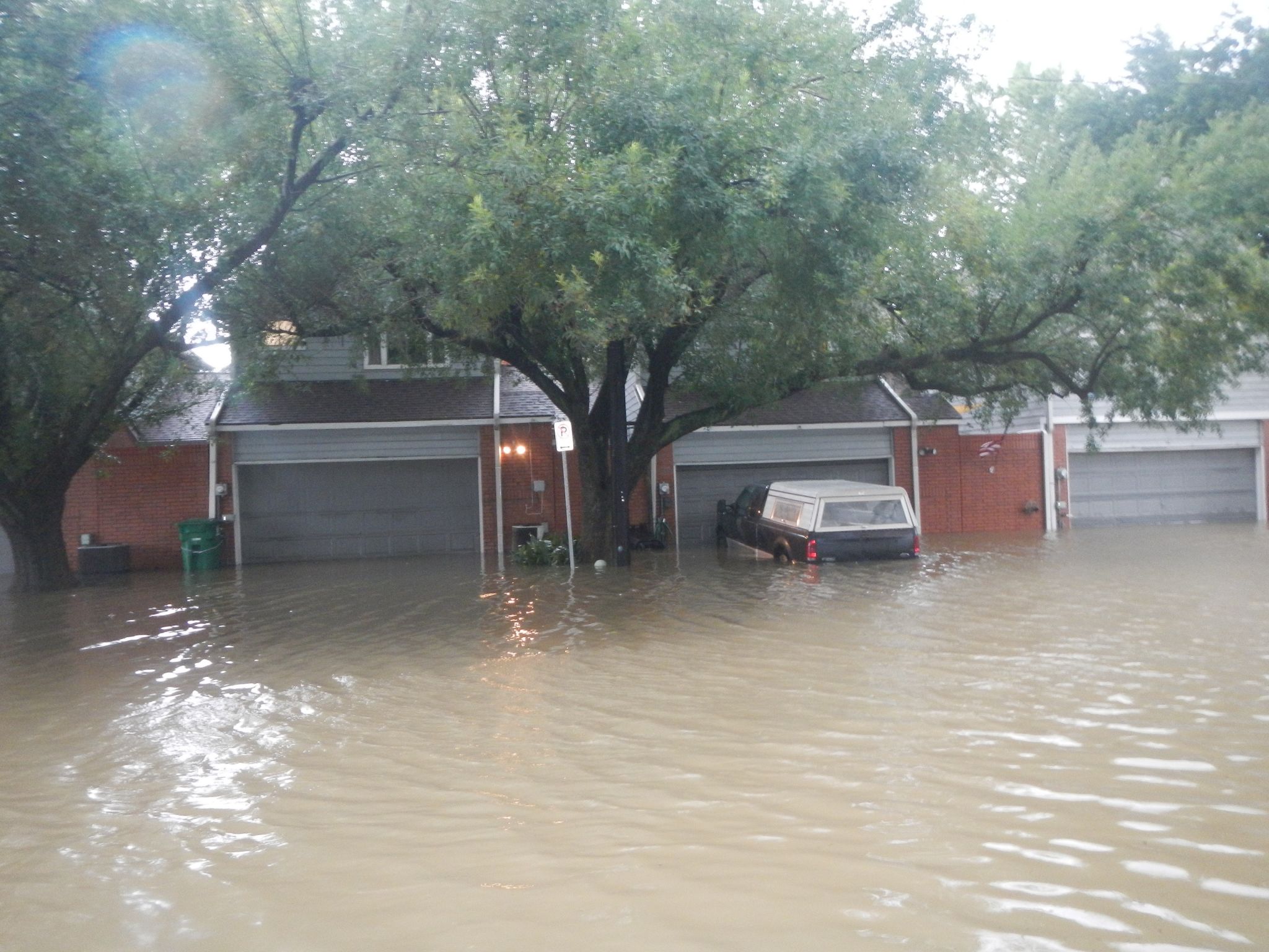 Live at FEMA Headquarters: 'comfort' dogs and 'years' to recover