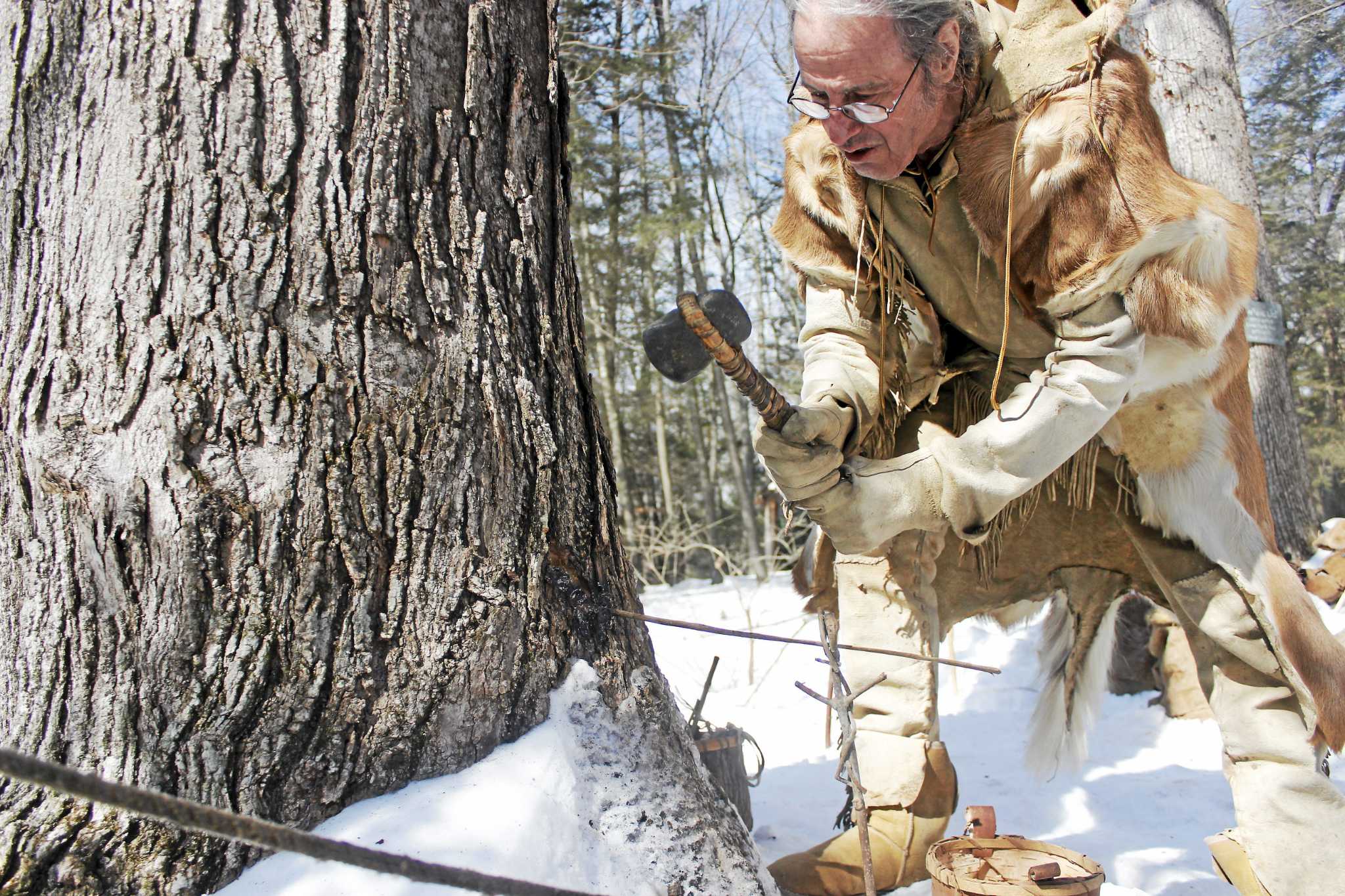 Maple Sugaring Festival In Washington Showcases Primitive Ways To Gather Produce Syrup