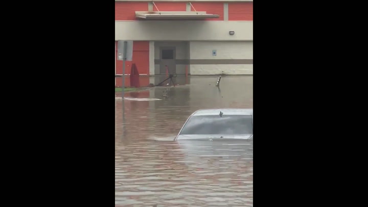 Harvey rescuer captures buck swimming in Friendswood flood waters on video