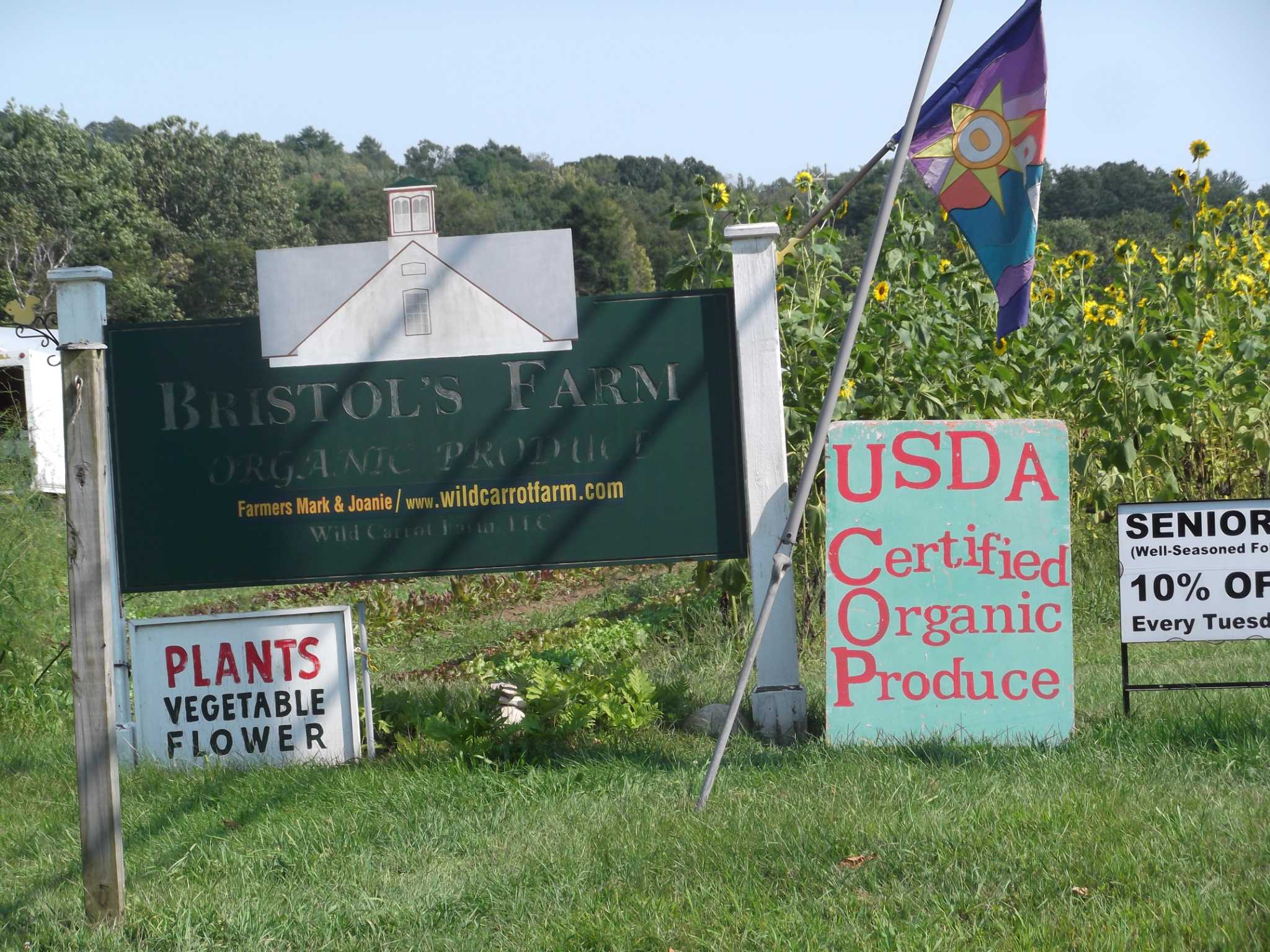 Connecticut farms cope with early-season drought; crops survive, some ...
