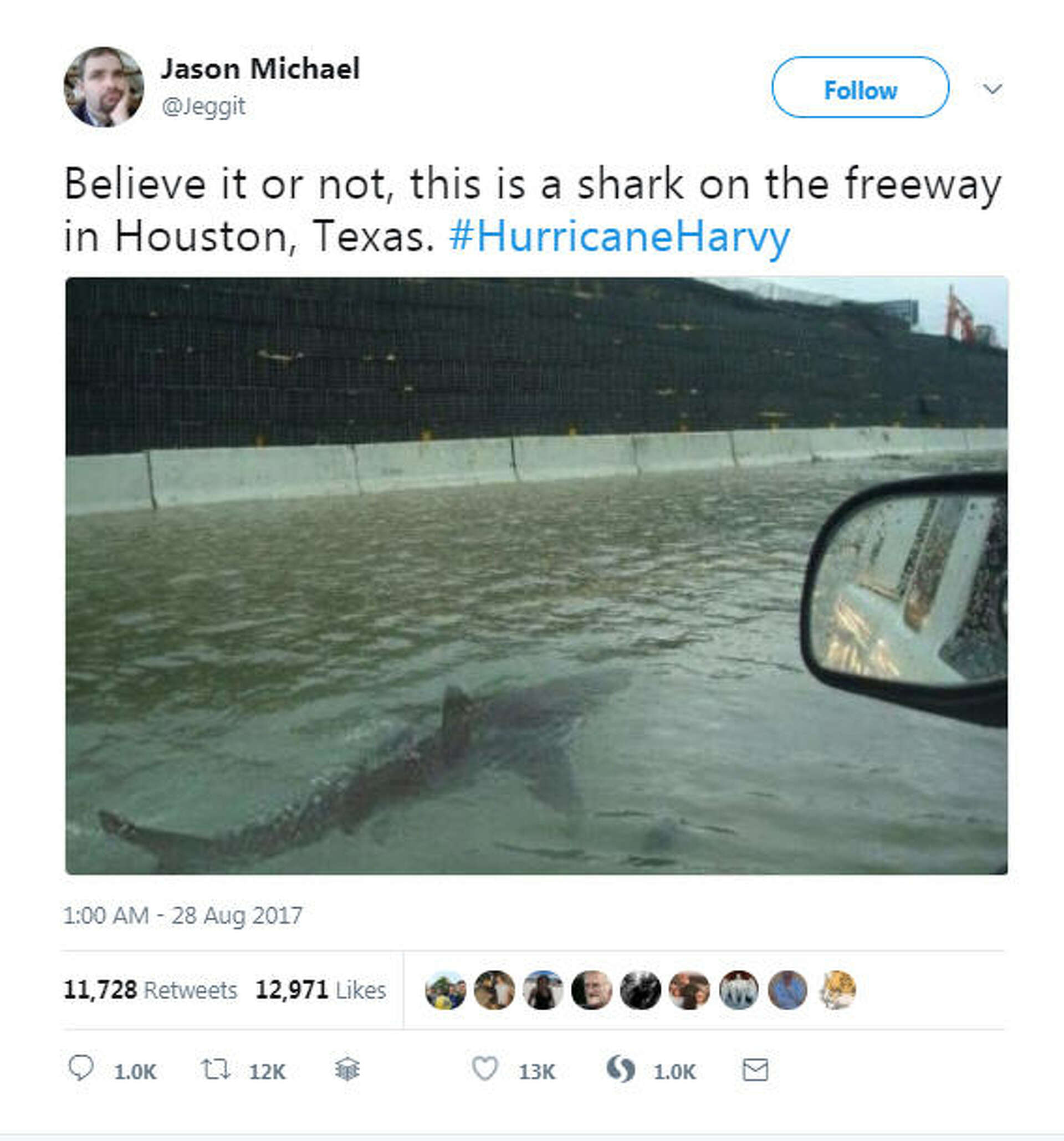 Houston Texas Flooding With Sharks Sharks, Underwater Airplanes,