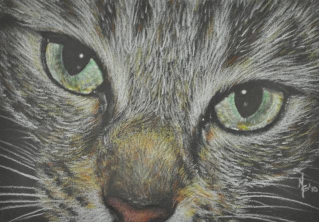 Melissa Gabso is The Register Citizen's Artist of the Month for June