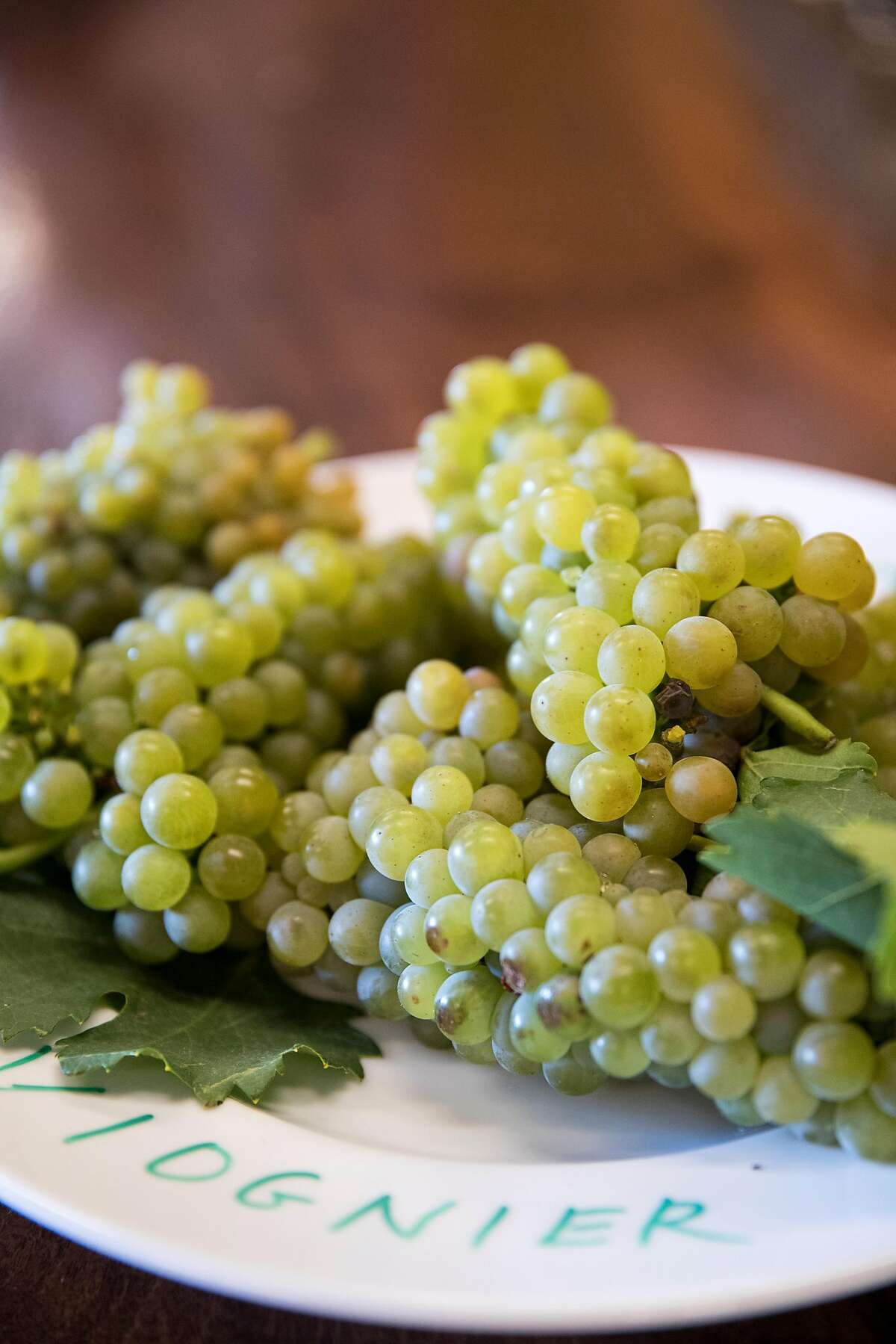 Global influences celebrated in Lodi’s vineyards