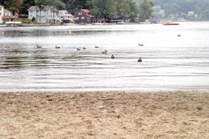 Winsted's Resha Beach effort approved by two boards