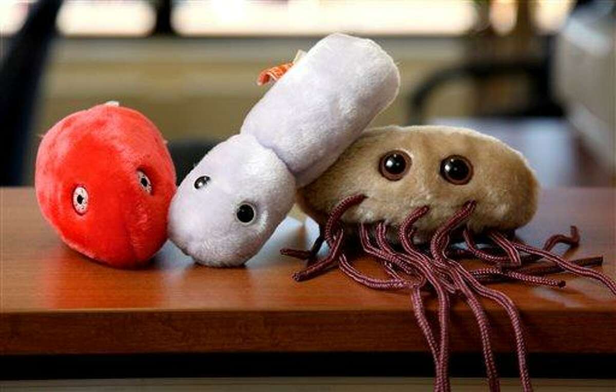 Connecticut company's stuffed germ toys take off