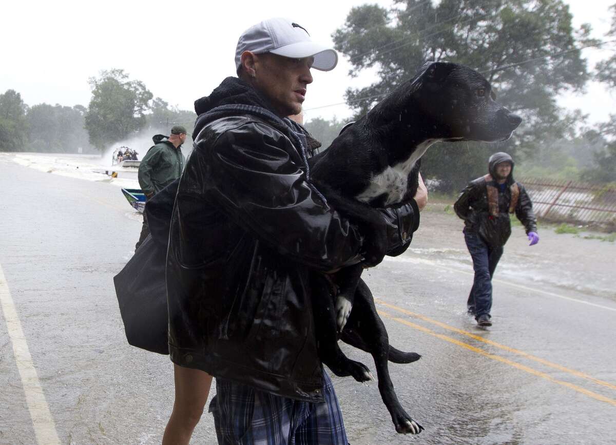 VIDEO: Miranda Lambert helped save hundreds of Houston animals after ...