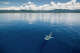 Good luck sharks: Incredible photos show relationship between fishermen ...