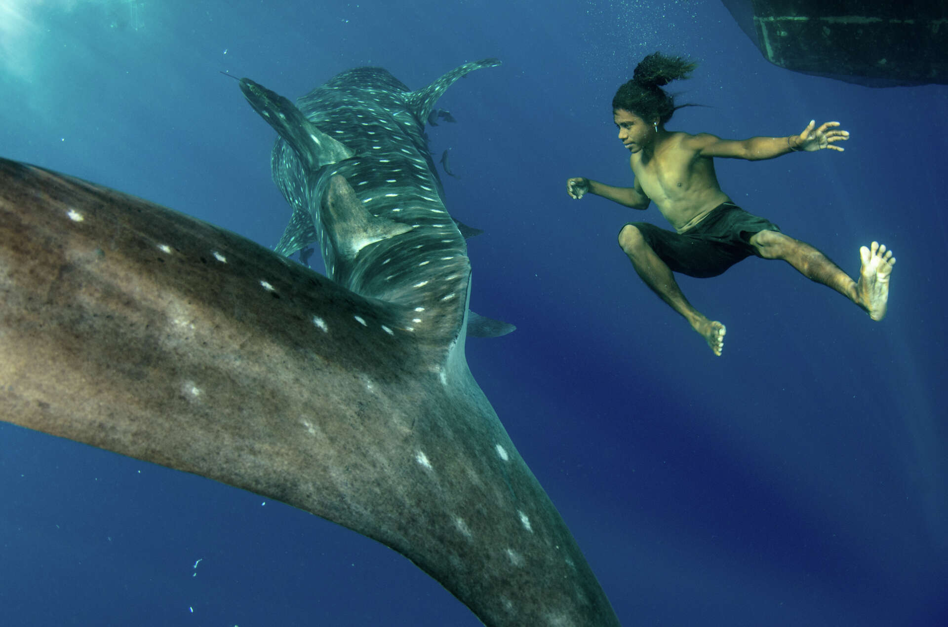 Good luck sharks: Incredible photos show relationship between fishermen ...