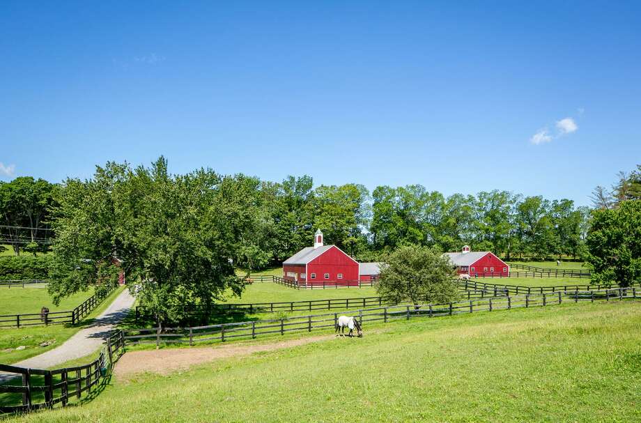 Washington thoroughbred farm has deep agricultural roots - NewsTimes
