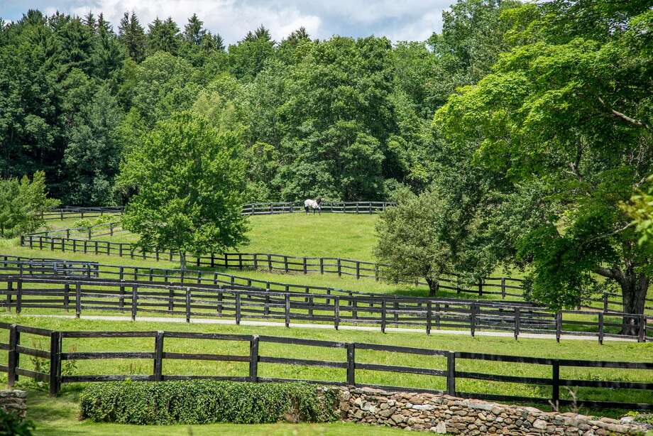 Washington thoroughbred farm has deep agricultural roots - NewsTimes