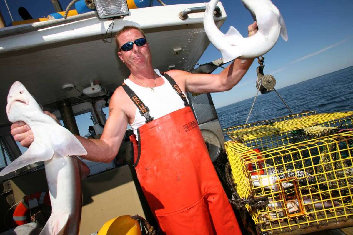 Local lobstermen say no to moratorium