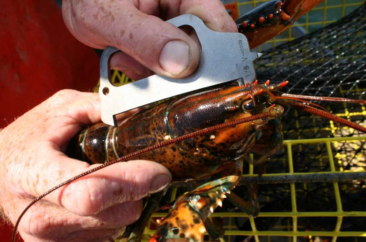 Local lobstermen say no to moratorium